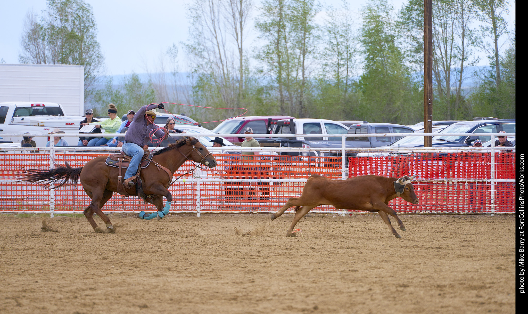 Never Summer Rodeo - Open Team Roping | 2022-06-25