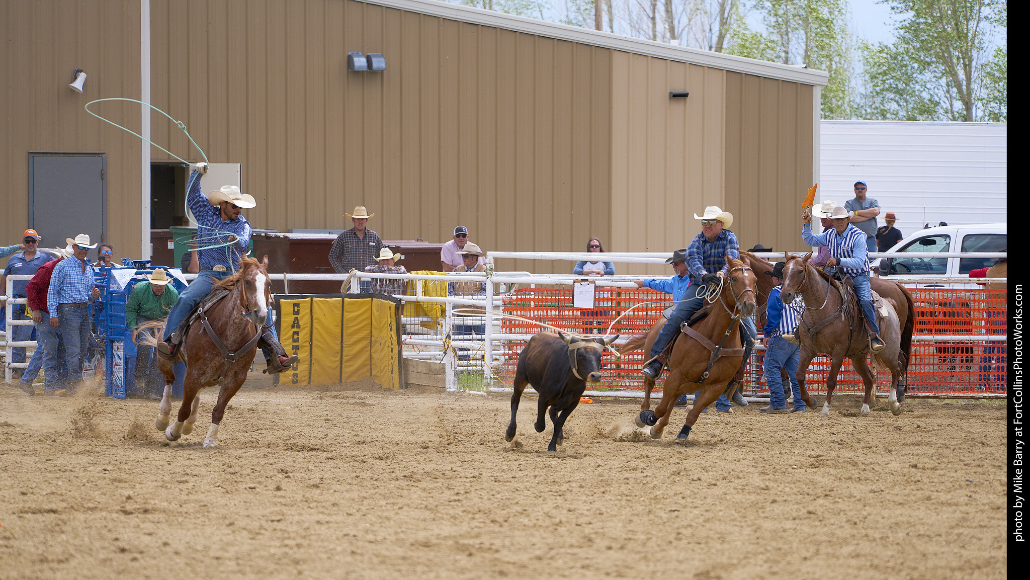 Never Summer Rodeo - Open Team Roping | 2022-06-25