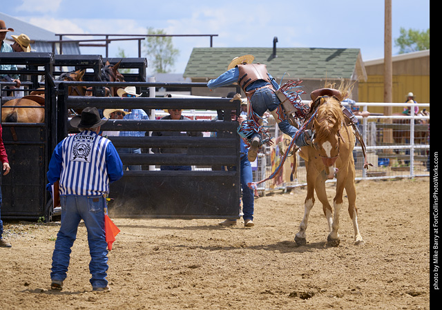 Never Summer Rodeo - Saddle Bronc Riding | 2022-06-25