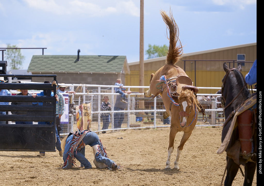 Never Summer Rodeo - Saddle Bronc Riding | 2022-06-25