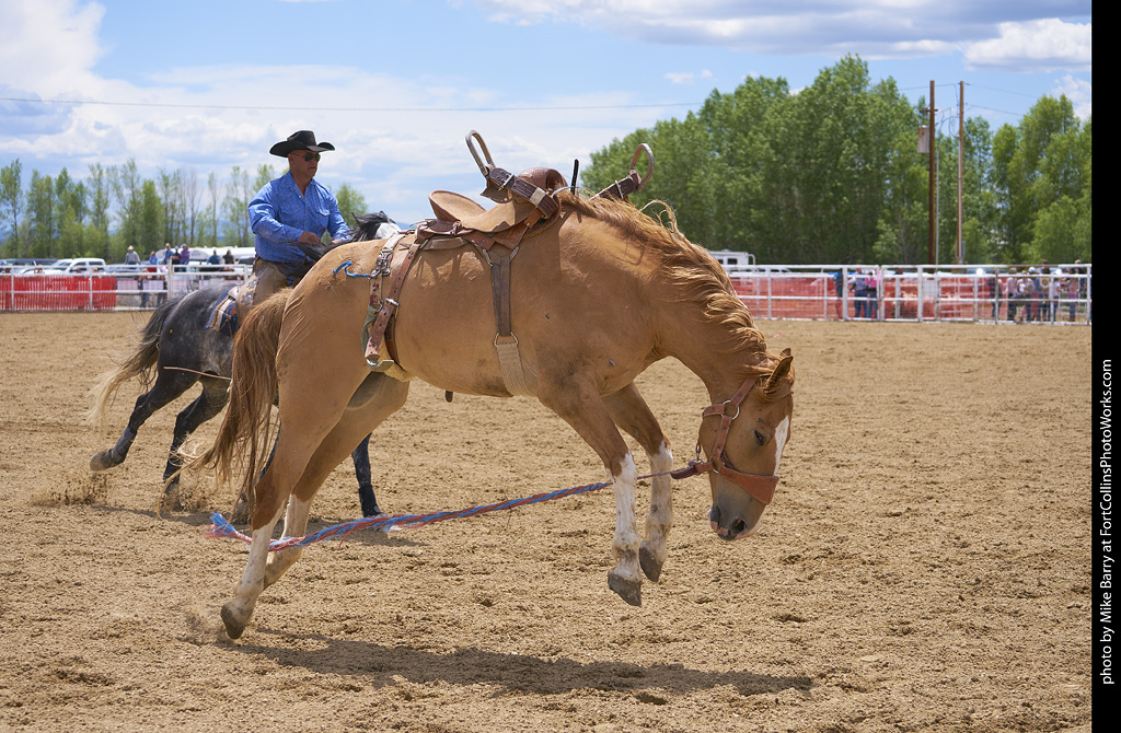 Never Summer Rodeo - Saddle Bronc Riding | 2022-06-25