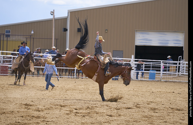 Never Summer Rodeo - Saddle Bronc Riding | 2022-06-25