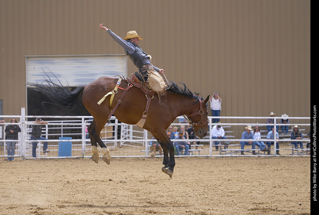 Never Summer Rodeo - Saddle Bronc Riding | 2022-06-25