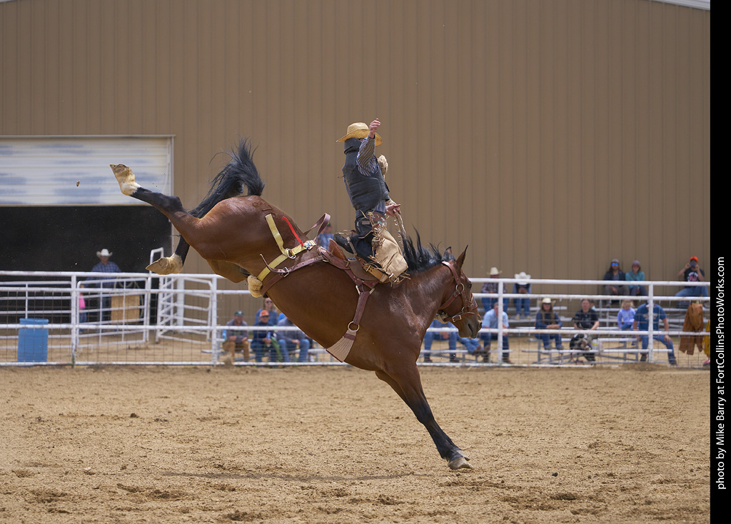 Never Summer Rodeo - Saddle Bronc Riding | 2022-06-25